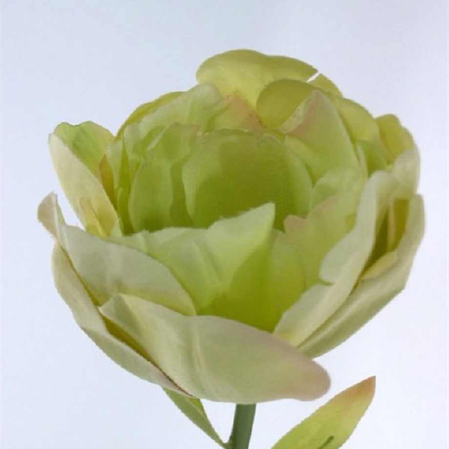 Peony tulp groen - Seta Fiori
