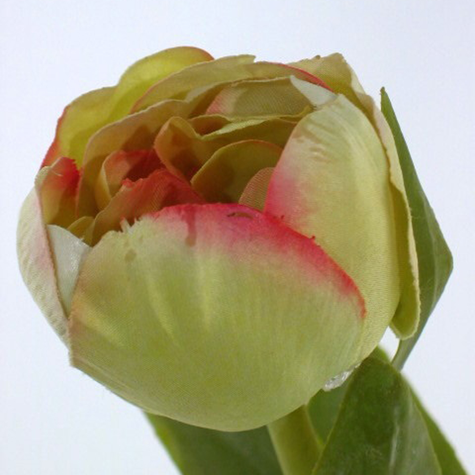 Dubbele tulp groen - Seta Fiori