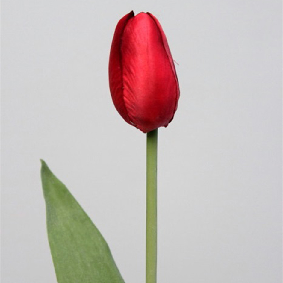 Lange tulp rood - Seta Fiori