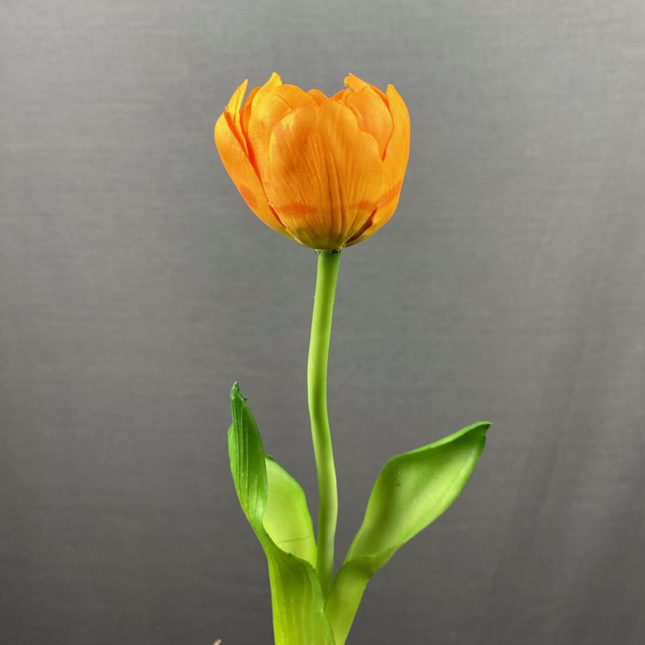 Tulpen Archieven - Seta Fiori