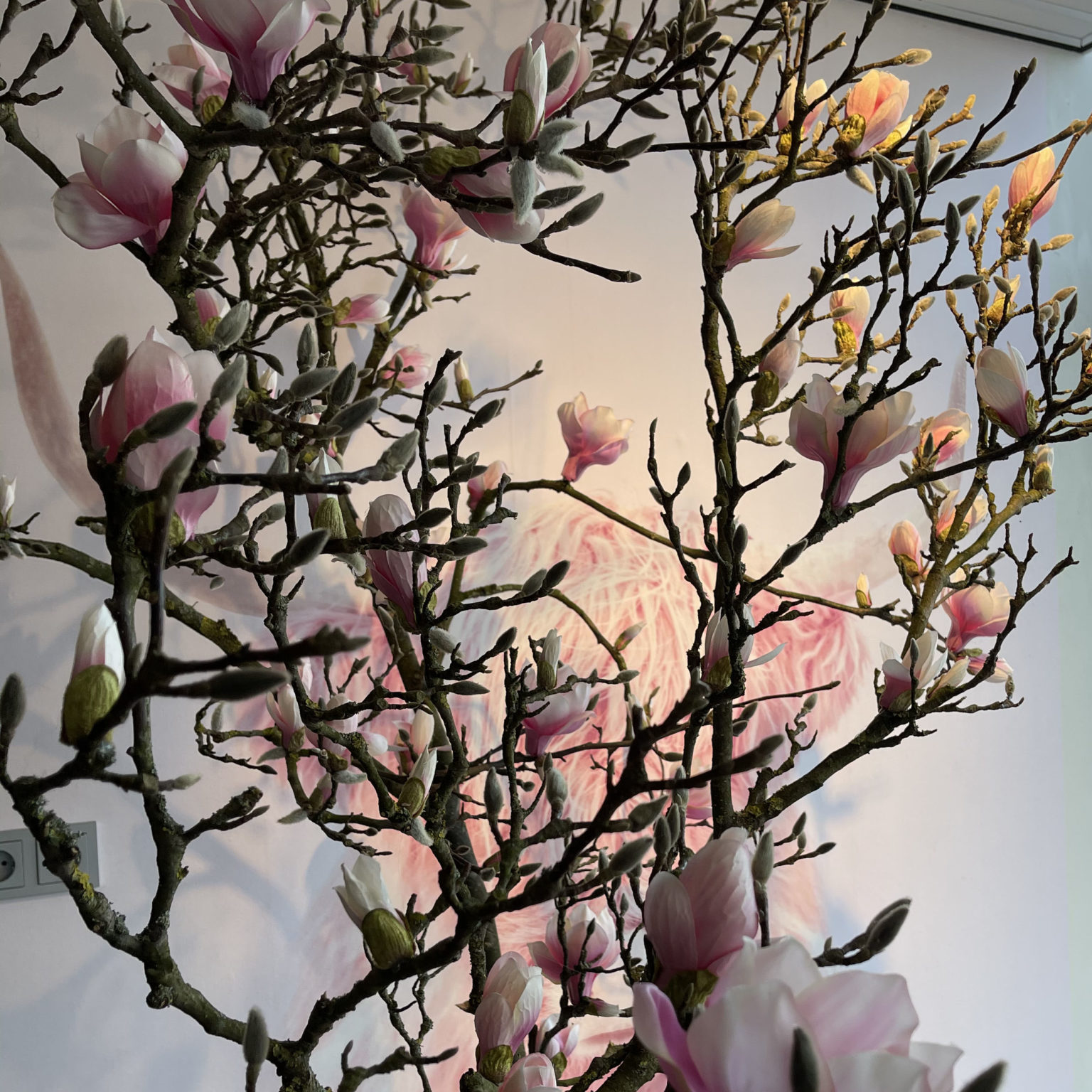 Magnolia boom - 240cm - roze - Seta Fiori